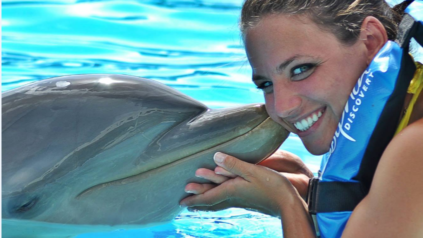 Dolphin Swim Anguilla Island Near St Martin Too