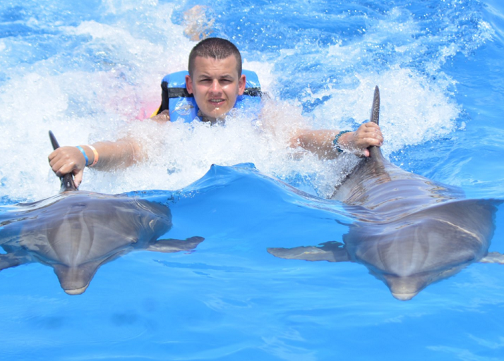 Everything You Need to Know: Dolphin Connection FAQ Guide