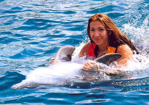 Swim with Dolphins Playa del Carmen Mexico