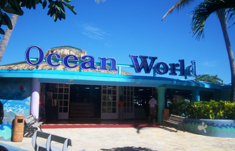 My Puerto Plata Dominican Republic Vacation Review