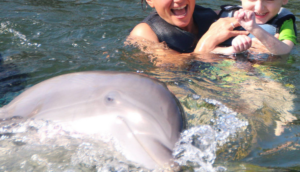 What is Dolphin Assisted Therapy?