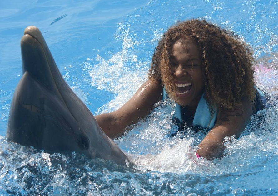 The Dolphins will Greet you in Punta Cana (800) 667-5524