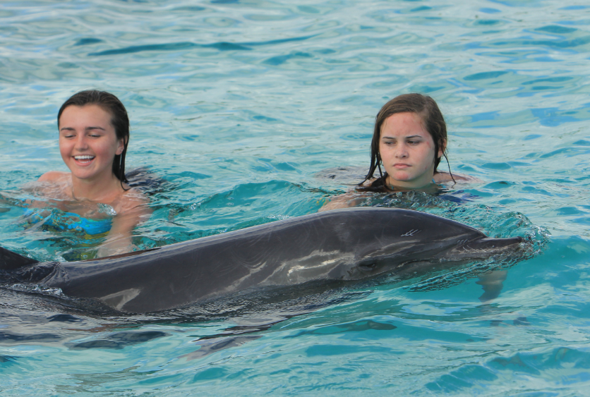 Easter Joy and Dolphin Dreams: Celebrating Christ and Nature in Florida
