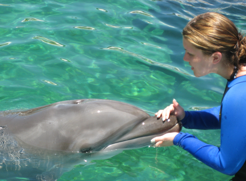 A Day in the Life of Marine Animal Caregiver - Dolphins & more!