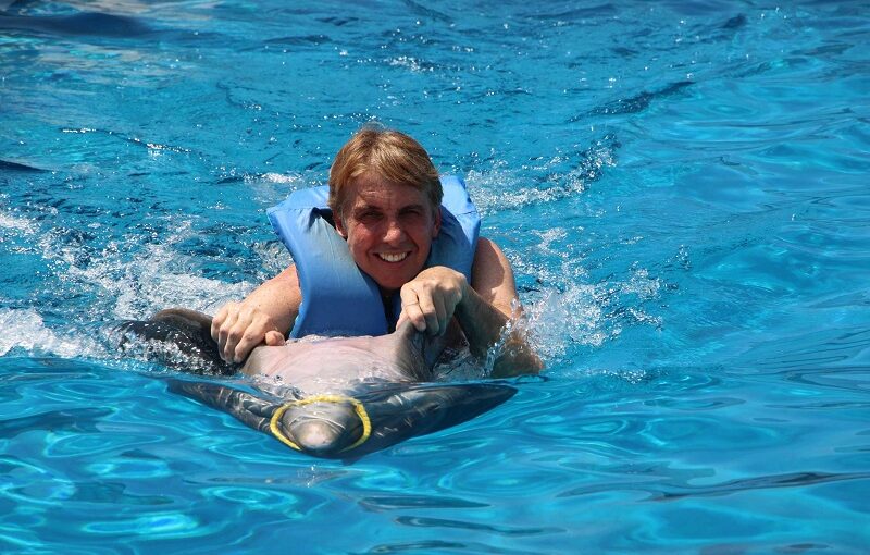 Explore the Dolphin's Anatomy